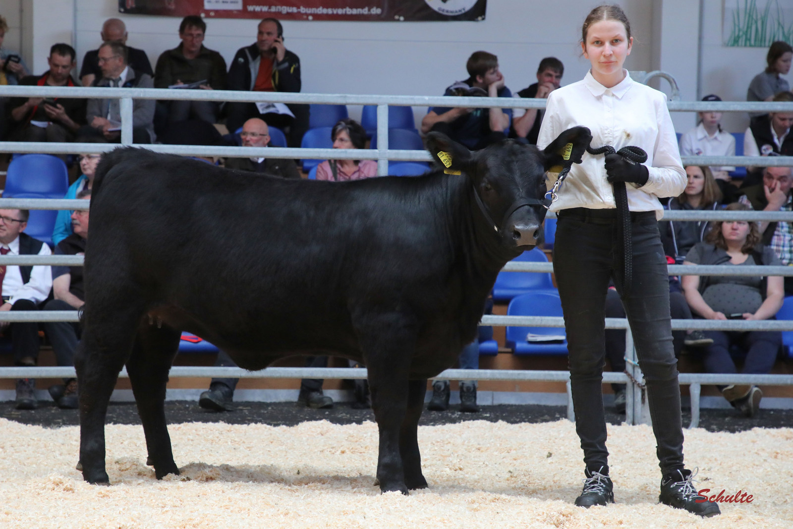 200-37 1a AA DE 06 654 49119 BOW Esther Lothar Kohlhepp, 97292 ...